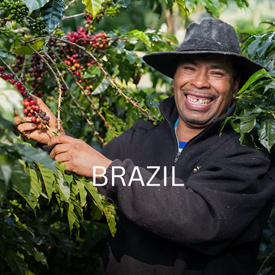 Earth Roastery | Specialty Coffee